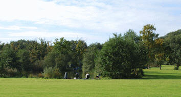 Cobbleacre Lakes - Carp Fishing and Fishing Holidays